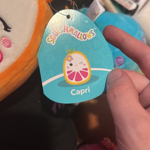 Squishmallows | Toys | Capri The Grapefruit Squishmallow Nwt | Poshmark